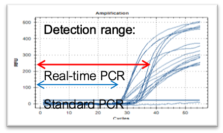 Soil Pathogens – AL&L Crop Solutions